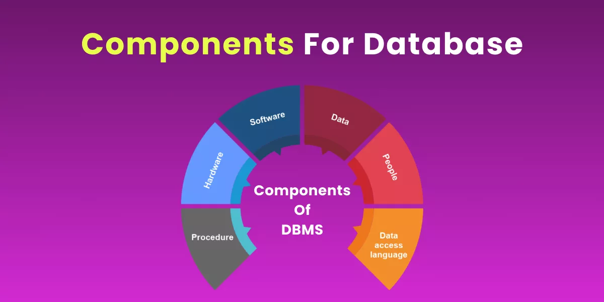 Roles of a Database Developer: Responsibilities & Expertise